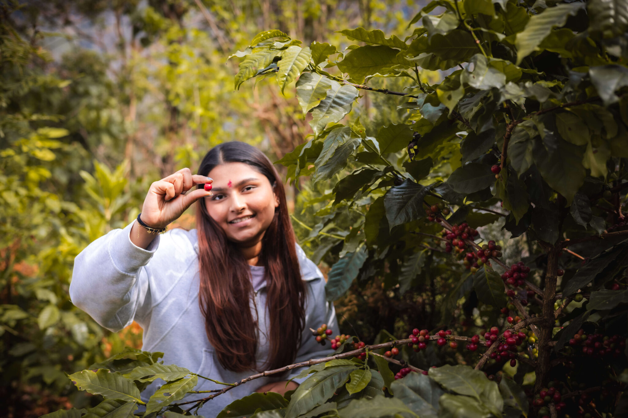 Buy Nepal Coffee Online | HCC – Himalaya Coffee Company