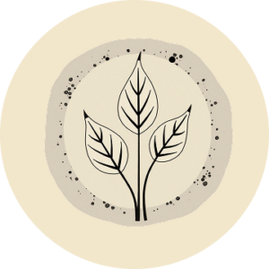 Best Place to Buy Himalayan Coffee Beans Online | Nepal Coffee | HCC